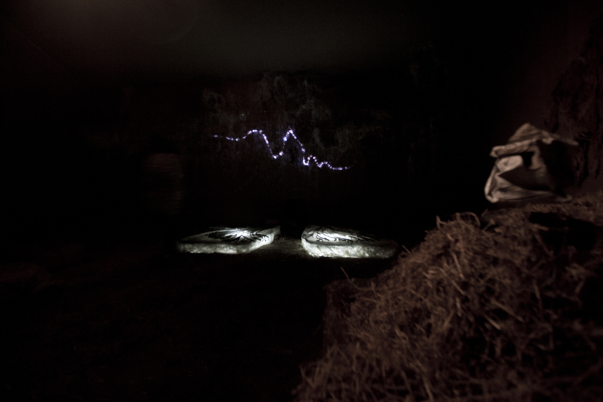 Rustle 2.0/ Rustle Phase II | emkaleyongakpa